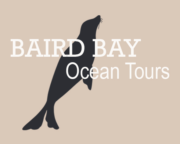 Homepage - Baird Bay Experience